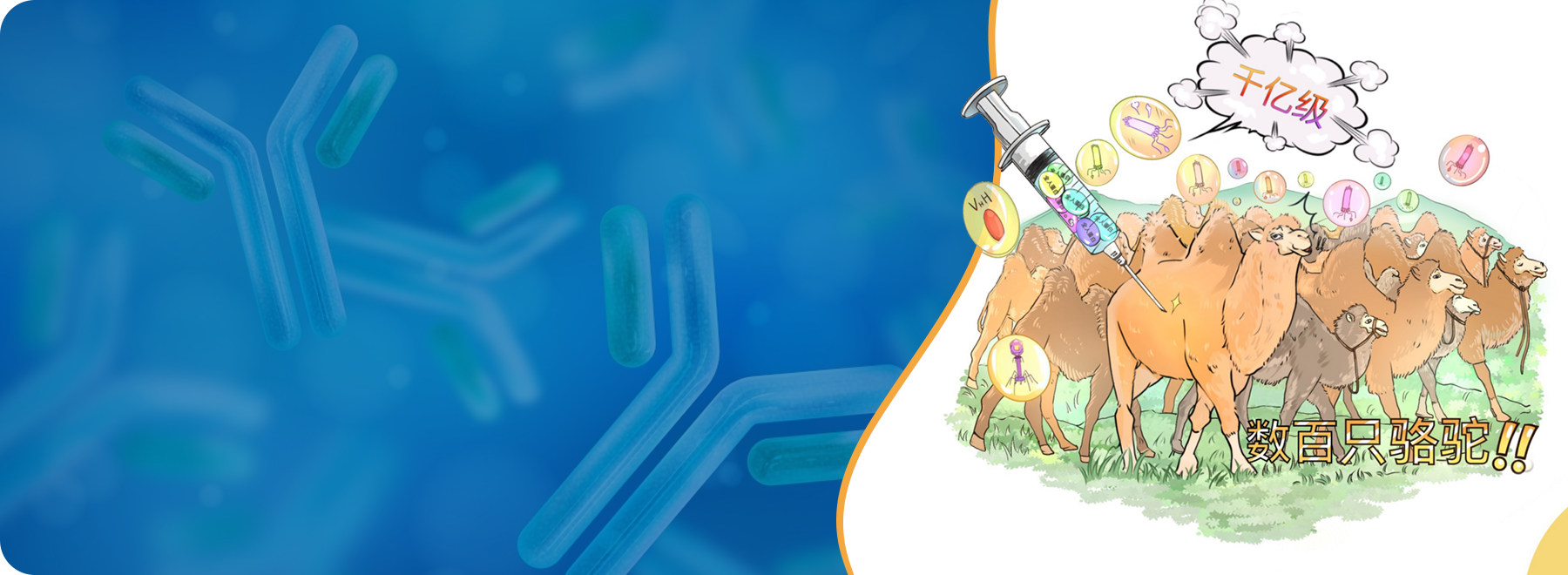 Immunoway 中文官网